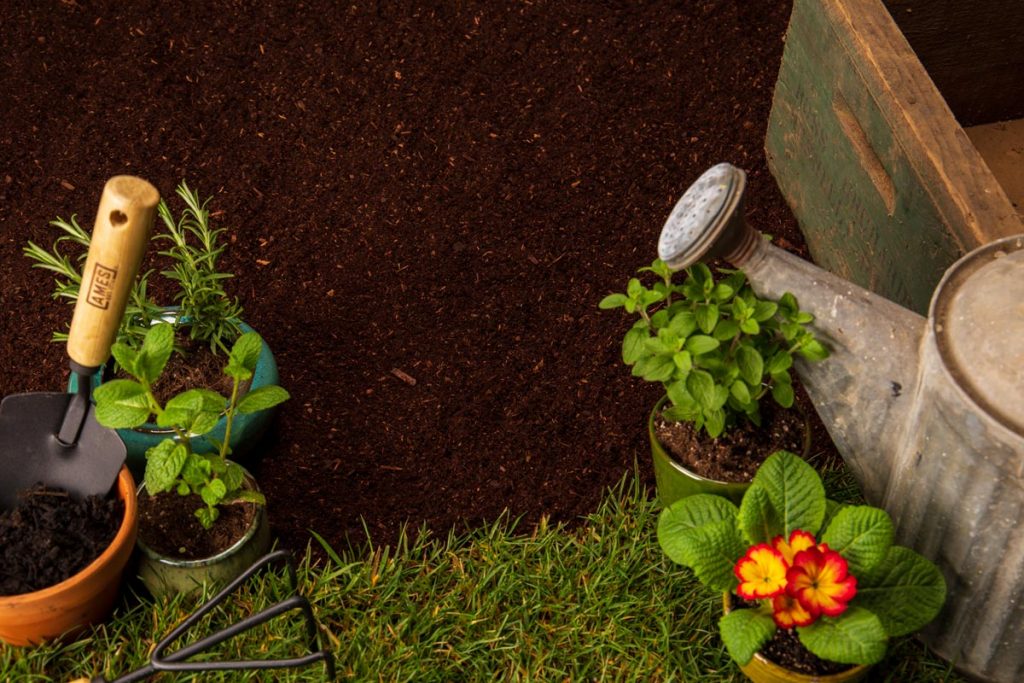 Bark Dust Pricing & Information | Lane Forest Products