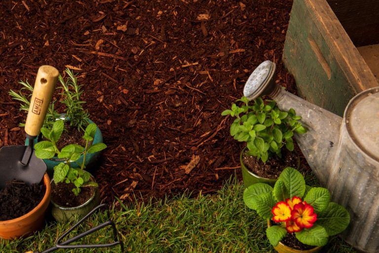 Medium Fir Bark | Lane Forest Products