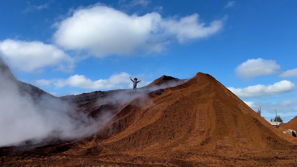 Lane Forest Products