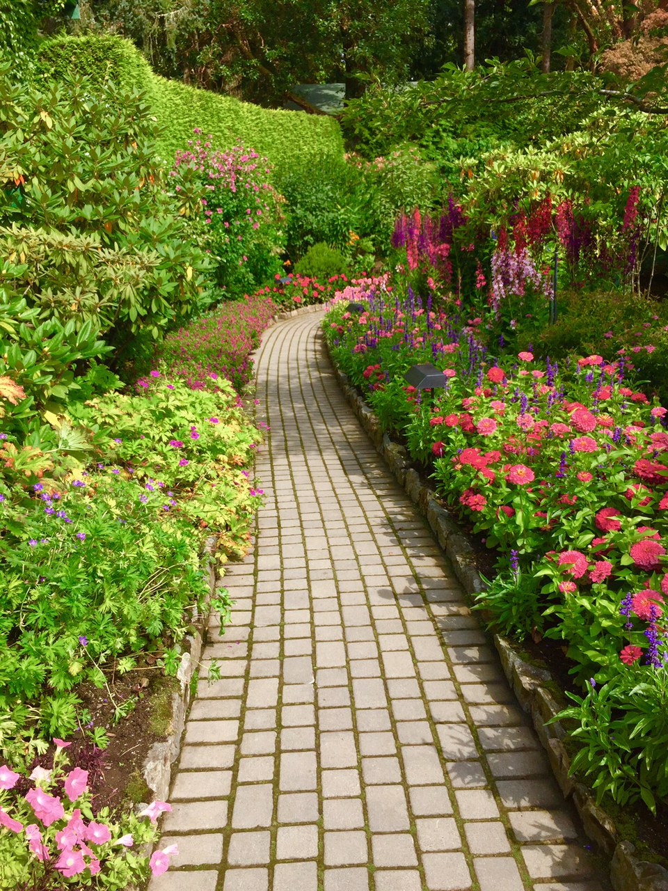 How To: Companion Planting Techniques | Lane Forest Products