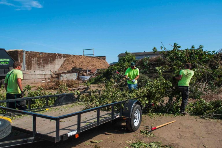 Lane Forest Products