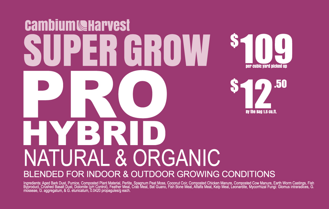 Super Grow | Lane Forest Products