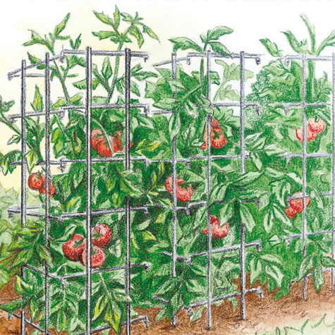 July Gardening Tips | Lane Forest Products