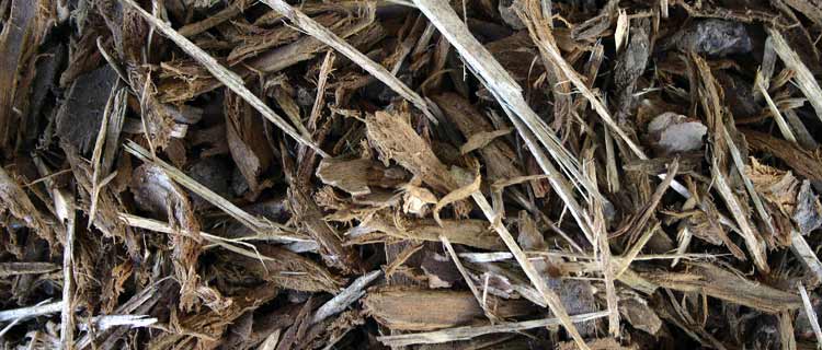 bedding | Lane Forest Products