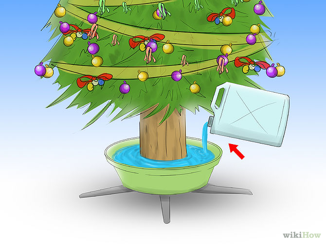 How To: Care for Your Christmas Tree | Lane Forest Products