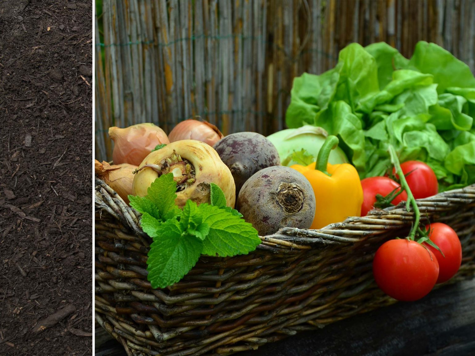 Lane Forest Products