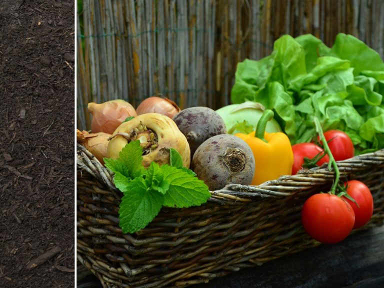 Lane Forest Products