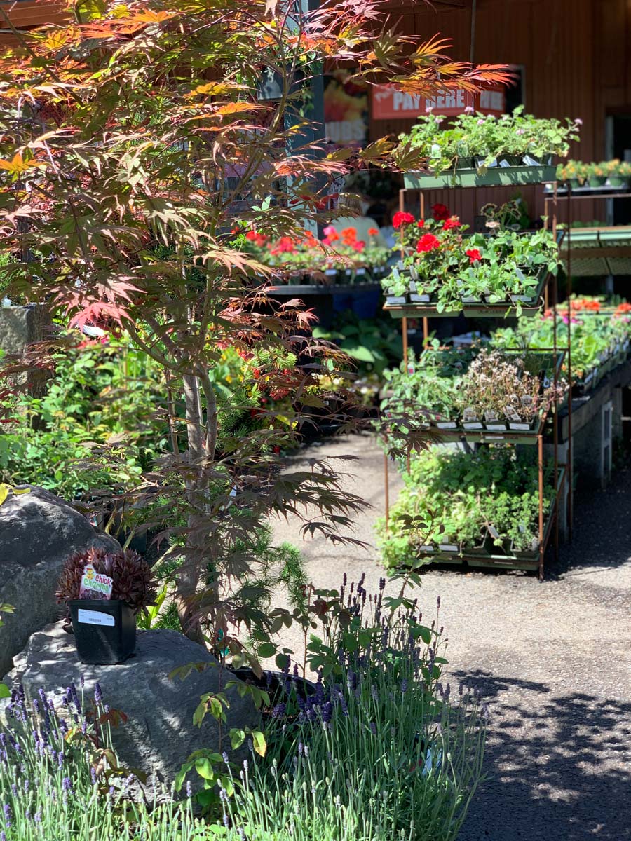 Weekly Specials | Lane Forest Products